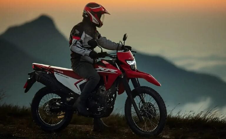 Así le fue a la nueva Honda XR 300 Tornado en los patentamietos