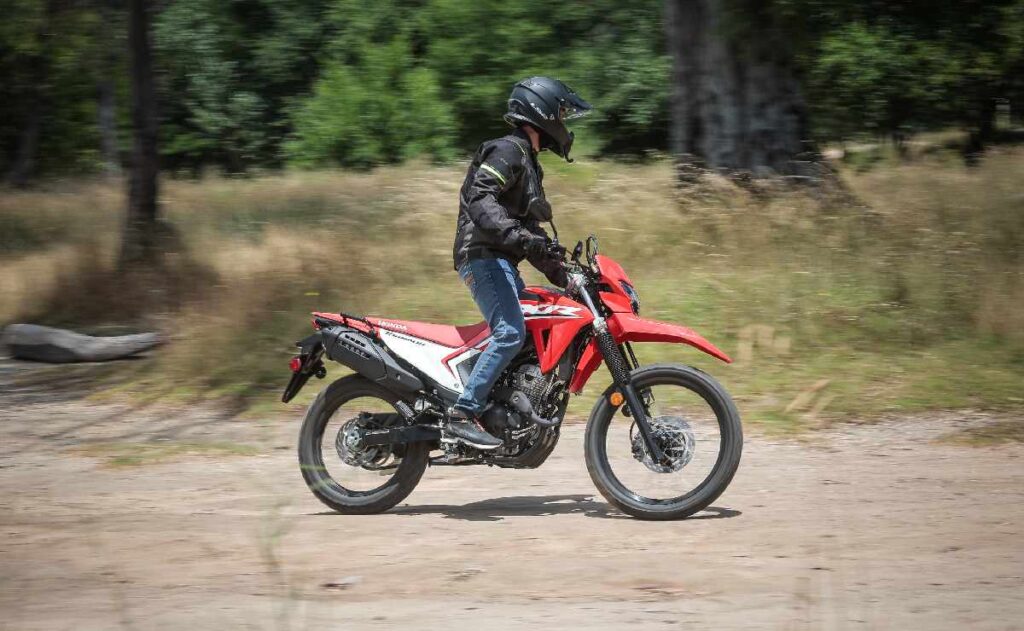 Precio Honda XR 300 L Tornado: ¿cuánto sale y por qué hay diferentes ...